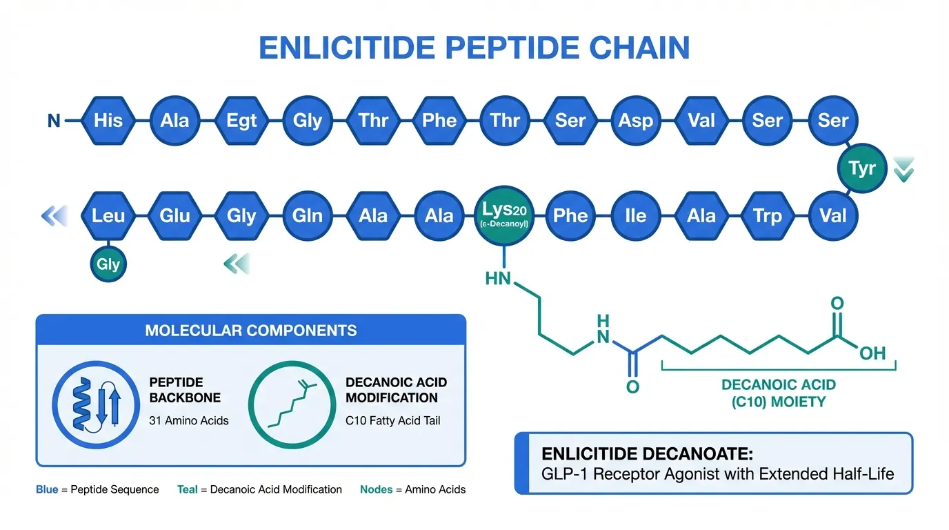 Enlicitide Decanoate Molecular Structure and Properties | Peptide ...